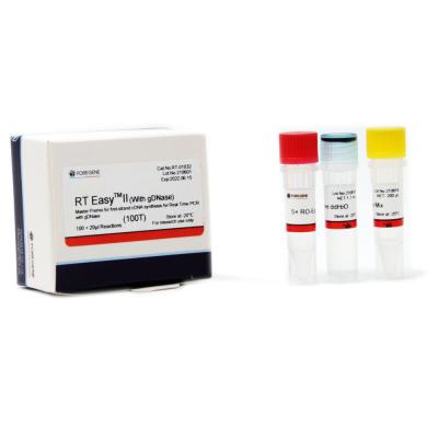 China RT Easy II Master Premix For First Strand CDNA Synthesis With GDNase for sale
