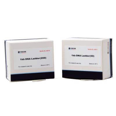 China Agarose Gel Electrophoresis Use DNA Ladder With Sizes Ranging From 1 Kb To 8 Kb for sale