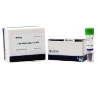 China Agarose Gel Electrophoresis Use DNA Ladder With Sizes Ranging From 1 Kb To 8 Kb for sale