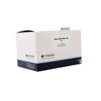 China Lab Reagent Blood DNA Midi Kit DNA Isolation Kits For Genomic DNA Purification for sale