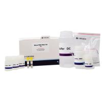 China Lab Reagent Blood DNA Midi Kit DNA Isolation Kits For Genomic DNA Purification for sale