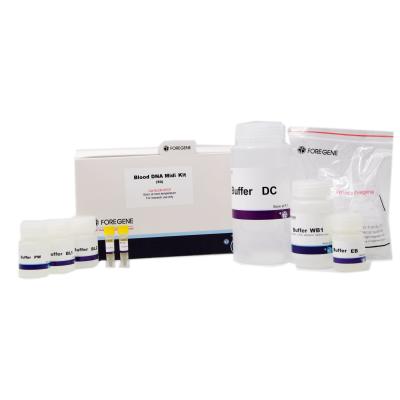 China Lab Reagent Blood DNA Midi Kit DNA Isolation Kits For Genomic DNA Purification for sale