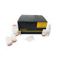 China 200 Pieces RNA Isolation Kits RNase Free RNA Only Column High RNA MiRNA Isolation Kits From Serum 200ul for sale