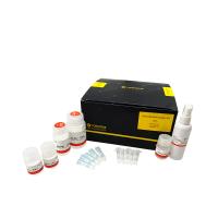 China Spin Column Cell Total RNA Isolation Kits 50 Preps 200 Preps No Need Ice Bath for sale