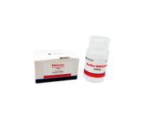China 50ml 100ml 100ml×4 RNA Isolation Kits RNAlater Protection Solution For Tissue Sample for sale