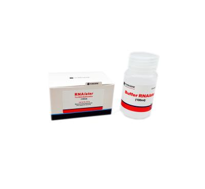 China 50ml 100ml 100ml×4 RNA Isolation Kits RNAlater Protection Solution For Tissue Sample for sale