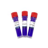 China PCR Kits Premix System Containing Taq Enzyme High Efficiency for sale