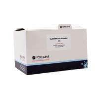 China Obtain Genomic DNA From Various Soil Sample Microorganisms Soil DNA Isolation Kits for sale
