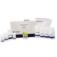 China Obtain Genomic DNA From Various Soil Sample Microorganisms Soil DNA Isolation Kits for sale