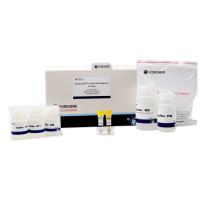 China No RNase Contamination Lab Molecular Biology Reagent Buccal Swab/FTA Card DNA Isolation Kits for sale