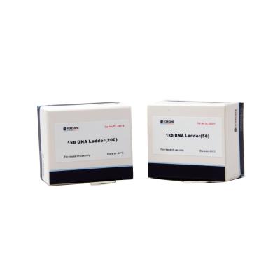 China 1 Kb DNA Ladder For DNA Fragment Electrophoresis Detection Scientific Research Use for sale