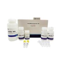China Molecular Biology Lab Reagent Plant DNA Isolation Kit With No RNase Contamination for sale
