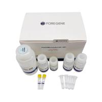 China Molecular Biology Lab Reagent Plant DNA Isolation Kit With No RNase Contamination for sale
