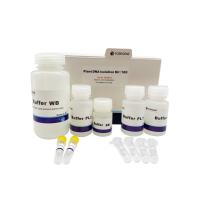 China Molecular Biology Lab Reagent Plant DNA Isolation Kit With No RNase Contamination for sale