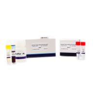 China Optimized Anti-pollution PCR system Animal Tissue Direct PCR Kits UNG for identification of transgenosis for sale