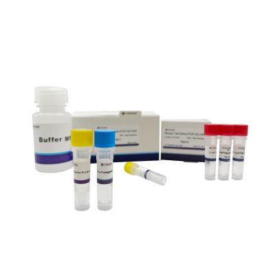 China Molecular biology optimized PCR system Mouse Tail Direct PCR Kits-UNG for mouse direct PCR using mouse tissue for sale