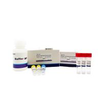 China Molecular biology optimized PCR system Mouse Tail Direct PCR Kits-UNG for mouse direct PCR using mouse tissue for sale