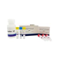 China Molecular Biology PCR Reagent Zebra Fish Direct PCR Kit With UNG Without Prior DNA Purification for sale