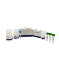China Plant Leaf Direct PCR Plus Kit For Plant Leaves Containing High Polysaccharide And Polyphenol Components for sale