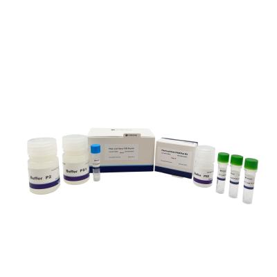 China Plant Leaf Direct PCR Plus Kit For Plant Leaves Containing High Polysaccharide And Polyphenol Components for sale