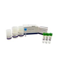 China Plant Leaf Direct PCR Plus Kit UNG PCR Kit DNA Polymerase Lysis Buffer Plant Leaf For Transgenic Plants for sale