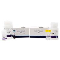 China Plant Seed Direct PCR Kit II UNG Lysis Buffer Ce Iso Loading Buffer For Transgenic Plants for sale