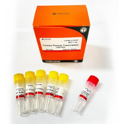 China Foreasy M-MLV Reverse Transcriptase For CDNA Synthesis Primer Extension PCR Kits With DNA Polymerase for sale