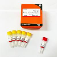 China Foreasy M-MLV Reverse Transcriptase For CDNA Synthesis Primer Extension PCR Kits With DNA Polymerase for sale
