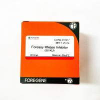 China RNA Protection Foreasy RNase Inhibitor For Reverse Transcription System Transcription Kits for sale