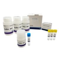 China Plant Seed Direct PCR Kit I-II UNG For Low Polysaccharide And Polyphenol Plant Seeds Samples for sale