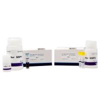 China Plant Seed Direct PCR Plus Kit II Directly Polysaccharide Polyphenol Seed Lysate As A Template For PCR Amplification for sale