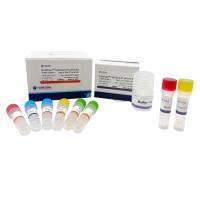 China High Sensitivity Strong Specificity QuickEasyTM Cell Direct RT QPCR Kit Taqman for sale