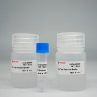 China Foreasy Taq DNA Polymerase HotStar Taq Polymerase Kit For PCR/QPCR for sale