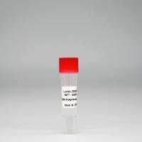 China Foreasy HS Taq DNA Polymerase Super HotStar Taq Enzyme Mix For PCR/QPCR for sale