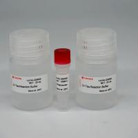 China Foreasy HS Taq DNA Polymerase Super HotStar Taq Enzyme Mix For PCR/QPCR for sale