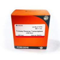 China Foreasy New Generation Of M-MLV Reverse Transcriptase RT Enzyme Foreasy for sale