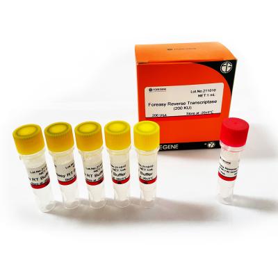 China Foreasy New Generation Of M-MLV Reverse Transcriptase RT Enzyme Foreasy for sale