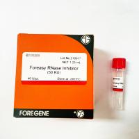 China China IVD Factory High Production Foreasy RNase Inhibitor For RNA Protection for sale