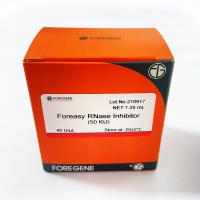China China IVD Factory High Production Foreasy RNase Inhibitor For RNA Protection for sale