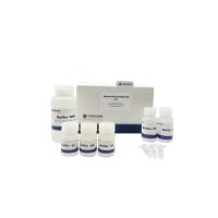 China Molecular Biology Lab Reagent General Plasmid Mini Kit Large DNA Isolation Kit for sale