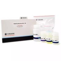 China High Purity DNA Fragments PCR Purification DNA Isolation Kits From The PCR System for sale
