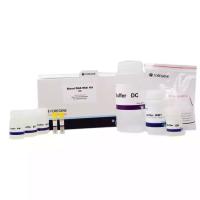 China Molecular Biology Lab Reagent Blood DNA Midi Kit Lab DNA Extraction Reagent for sale
