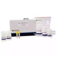 China Mouse Tail DNA Mini Isolation Kit Extract Genomic DNA From Mouse Tail Within 1 Hour for sale