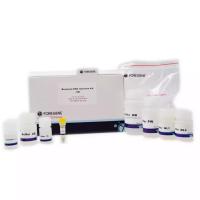 China Laboratory Bacterial DNA Isolation Kit Bacterial DNA Extraction Purification Kits for sale