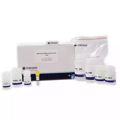 China Laboratory Bacterial DNA Isolation Kit Bacterial DNA Extraction Purification Kits for sale
