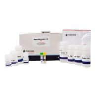 China No RNase Lab Reagent Water DNA Isolation Kit For Genomic DNA Purification​ for sale