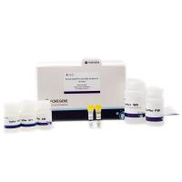 China Fast Room Temperature Buccal Swab FTA Card DNA Isolation Kits For Genomic Dna Extraction for sale