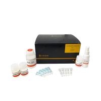 China Room Temperature Operation Viral DNA RNA Isolation Kit High Yield for sale