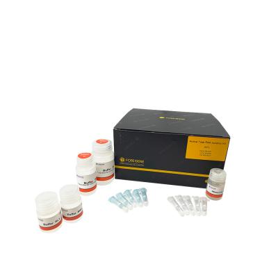 China No Organics Spin Column Animal Total RNA Isolation Kits Fast And No DNase Added for sale