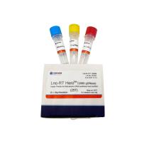 China Lnc-RT HeroTM I(With GDNase) Super Premix For First-Strand CDNA Synthesis From LncRNA Cat.No.RTL-09098/09099 for sale
